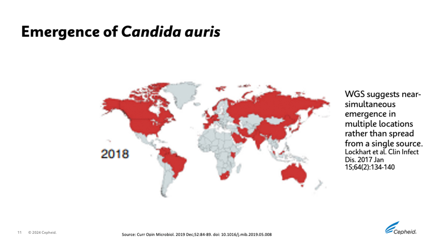 Candida auris: Rising Threat and Future Implications